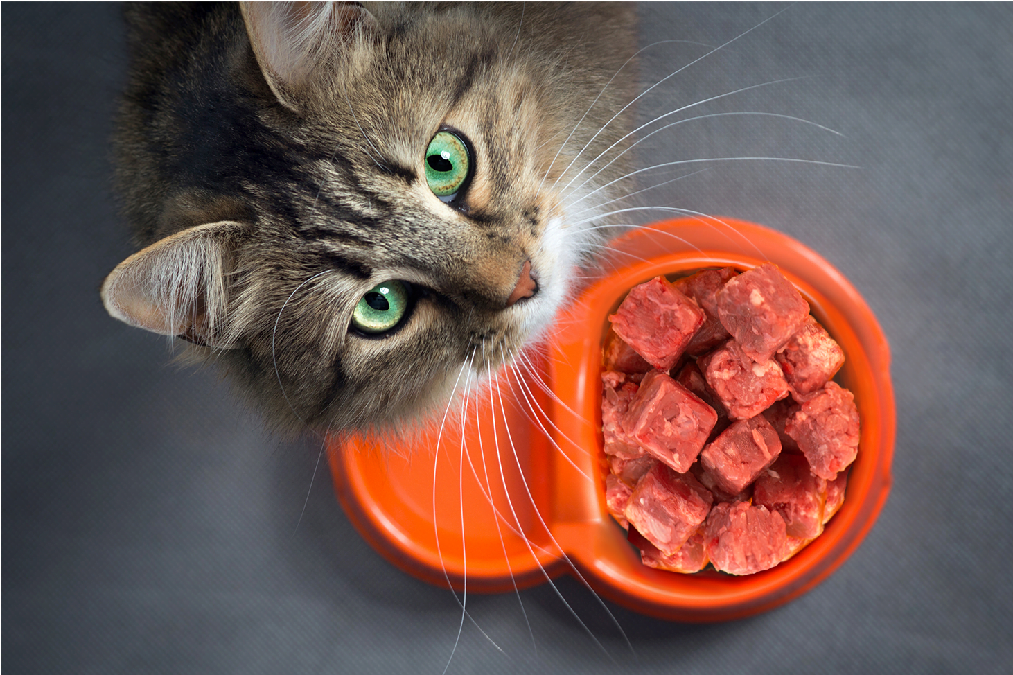 Portfolio - Sysniaga